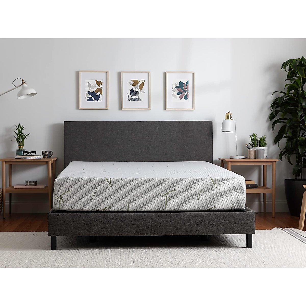 Tulo 10" Medium-Plush Memory Foam Bamboo Pressure Relief Mattress in a Box | Twin XL Size
