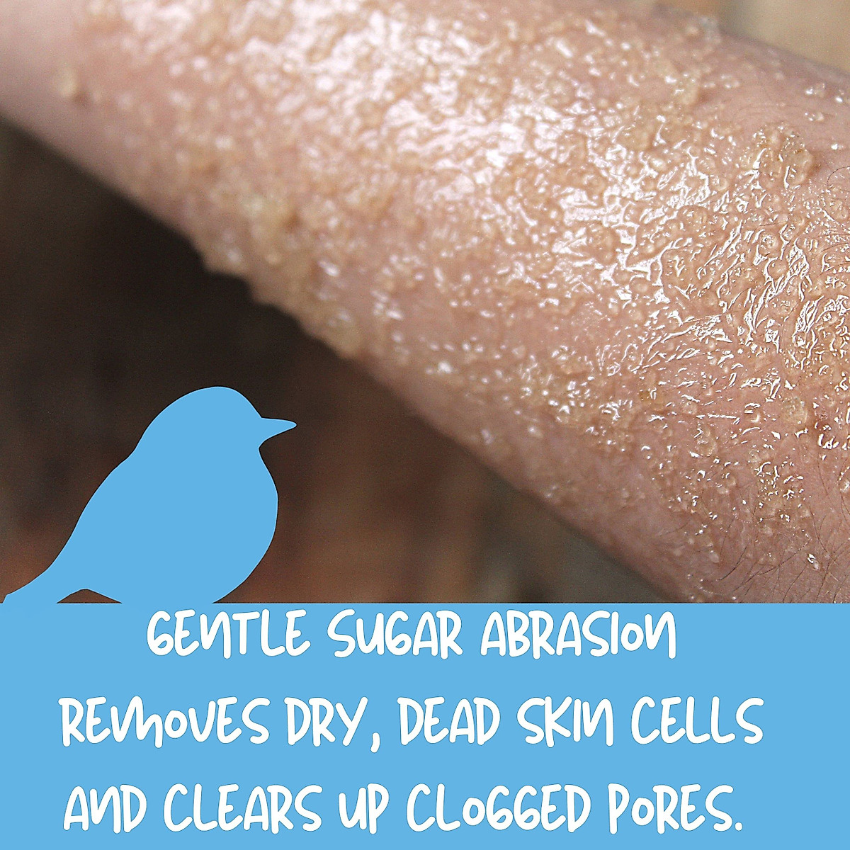 BLUEBYRD Soap Co. Lavender Lemongrass Sugar Scrub, 10oz. | Natural Sugar Face Scrub & Body Scrub | Exfoliate for Self-Tanners & Shaving | For Hydrated Youthful Looking Skin (Lavender)