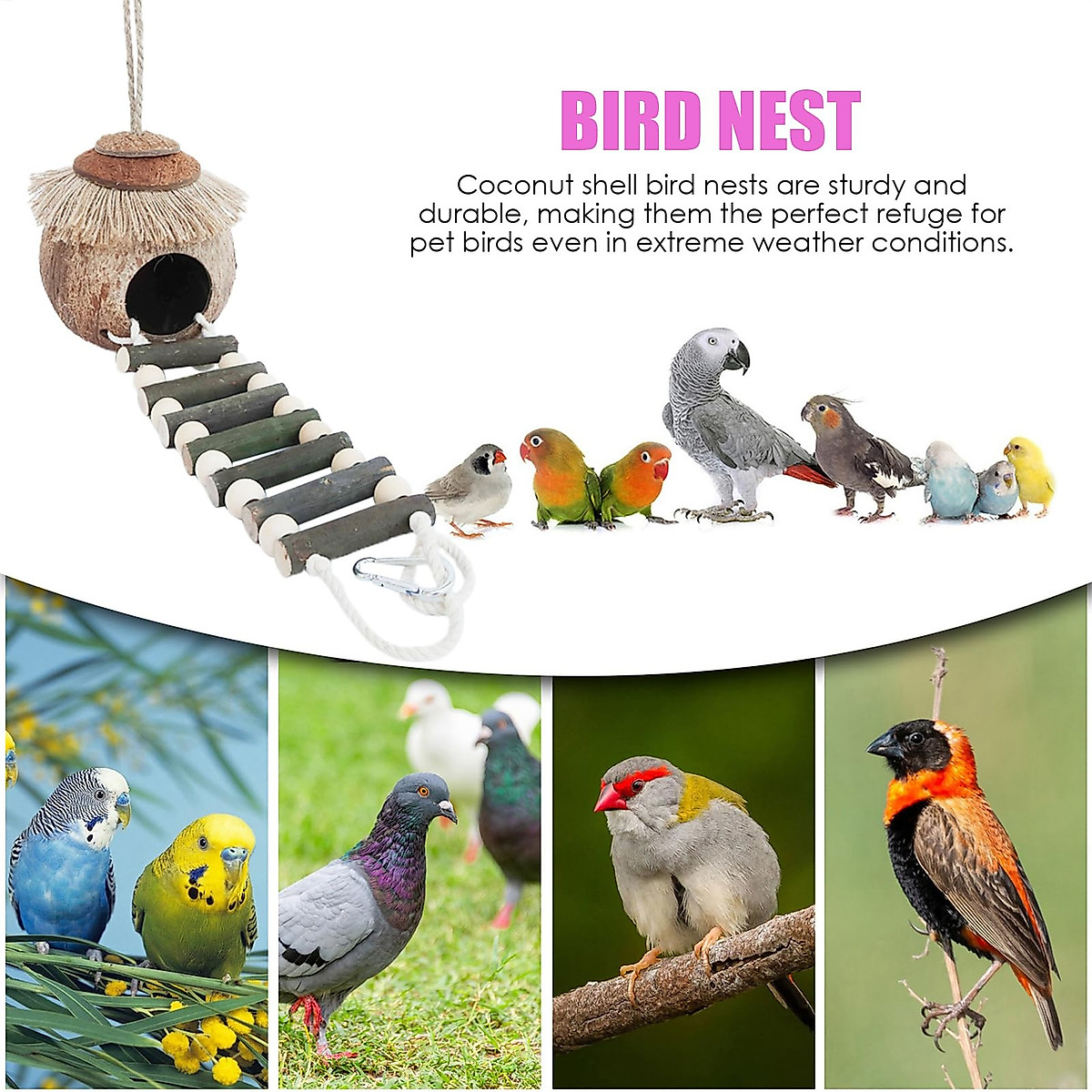 NOTRAK Natural Coconut Bird Nest, Coconut Hide, Cute Nest with Ladder for Home, Coconut Bird Shell Breeding Nest for Home, Garden, Yard, Universal Bird Hut with Rope for Birds, Reptiles and Mammals