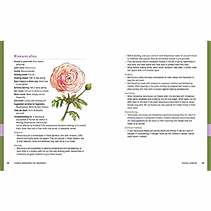 Flower Gardening for Beginners: A Guide to Growing and Maintaining a Cut-Flower Garden