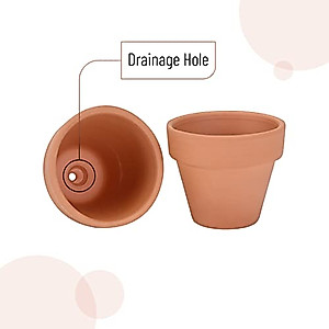 Mr. Pen- Mini Terracotta Clay Pots, 1.7", 8 pcs, Clay Pots for Plants, Small Terracotta Pots, Terracotta Planter, Small Clay Pots, Plant Pots with Drainage Holes, Clay Flower Pots, Terra Cotta Pots