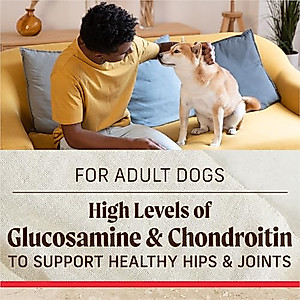 Merrick Healthy Grains Premium Adult Dry Dog Food, Wholesome And Natural Kibble With Beef And Brown Rice - 12.0 lb. Bag