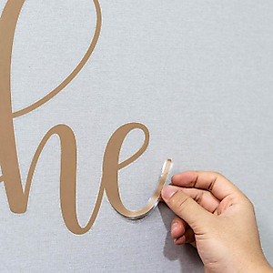 QIANGDAGSI He Or She What Will Baby Be Balloon Arch Decoration - Gender Reveal Girl Or Boy Baby Shower Decal Sign,Baby Gender Reveal Welcome Sign,Welcome Baby Shower Sign Decal (He Or She Decal)