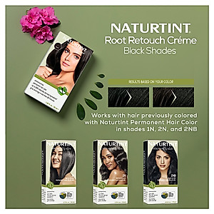 Naturtint Black Root Retouch Crème Permanent Hair Color - Ammonia Free, Conceal Grays, No Artificial Scent, 1.52 Fl Oz