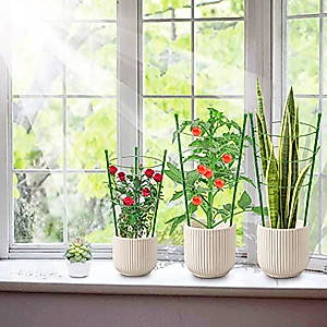 4 Pack Garden Plant Support Tomato Cage, Upgrade 18" Trellis for Climbing Plants, Plant Trellis Kits with 4 Self Watering Spikes and 20 Plant Clips (18")