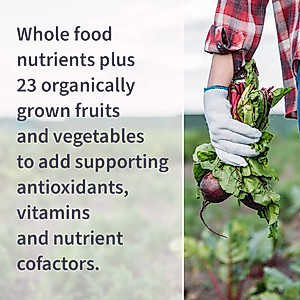 Garden of Life Raw B Complex - Vitamin Code - 60 Vegan Capsules, High Potency Vitamins for Energy & Metabolism with B2 Riboflavin, B1, B3, B6, Folate, B12 as Methylcobalamin & Biotin Plus Probiotics