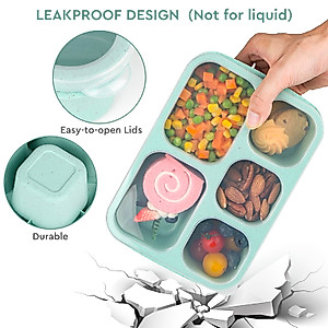 Lunbxx Bento Lunch Boxes - Reusable 5-Compartment Food Lunchables Containers, Snack Boxes For Adults Container for School, Work, and Travel, Set of 4 (Wheat)