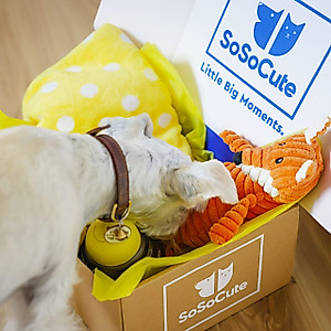 SoSoCute Yellow Dog Gift Box - Puppy Chew Toy Set of 5 - Puppy Care Package with Dog Blanket, Squeaky Plush, Rubber Puppy Teether, Teething Ball, and Treat Ball for Small and Medium Dogs