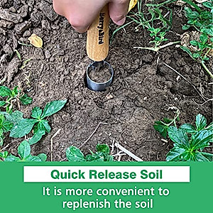 Berry&Bird Bulb Planter Tool, 12" Stainless Steel Garden Bulb Transplanter, Manual Hole Digger with Wooden Handle, Transplanting Agricultural Dibble Tool for Seed Planting & Flower Planter