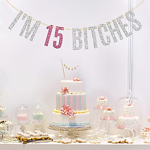 Glitter I'm 15 Bitches Banner Happy 15th Birthday Banner Happy 15th Anniversary Girl’s 15th Birthday Party Decorations Silver & Pink