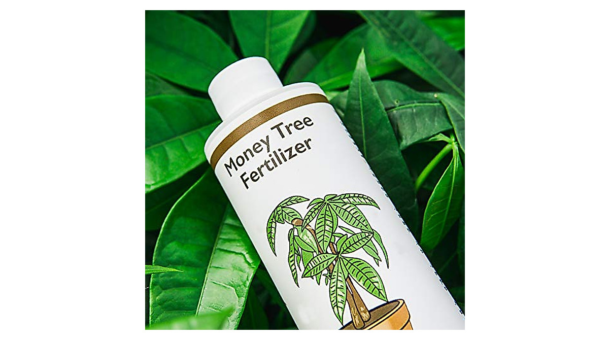 Perfect Plants Liquid Money Tree Fertilizer | 8oz. of Premium ...