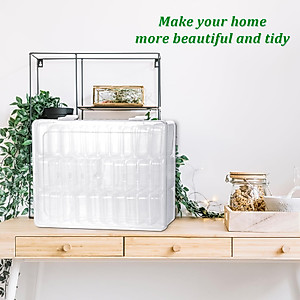 WLLHYF Bead Storage Containers 30Pcs Small Bead Organizer Box and 1 Pcs Large Clear Plastic Beads Storage Containers Boxes with Hinged Lid for Bracelet Making DIY Craft Nail Decor