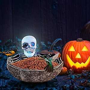 DREAMSOUL 12" Resin Bird Bath, Spider Net Bird Baths for Outdoors, Halloween Skull Birdbath Bowl for Halloween Party Garden Yard Lawn Decor