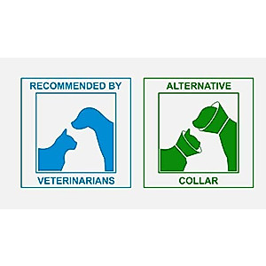 MAXX Recovery Suit for Dogs, E Collar Alternative, Post-Operative Onesie by Vet (Ruby Red Grey, M+)