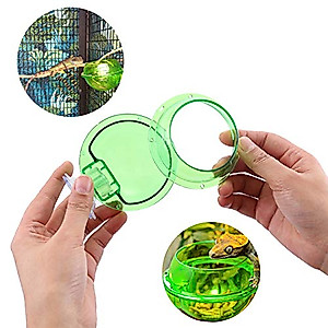 Suction Cup Reptile Feeder, Reptile Feeding Food Water Bowl Escape Proof Worm Dish Gecko Feeder Chameleon Bowl, Reptile Ledge Accessories Supplies for Lizard Bearded Dragon, 2 Pack