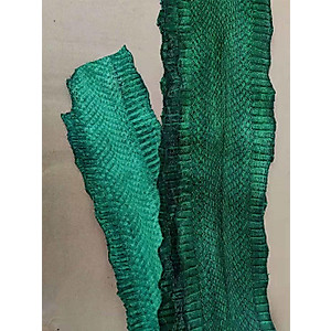 Snake Skin Snakeskin Pieces Assorted Colors Hide Leather Natural 47in (Green)