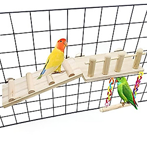 Parrot Stands with Climbing Ladder, Wooden Play Gyms and Bird Wood Swing ,Bird Perches Cage Toys Mini Parrot for Lovebird Budgie and Other Small Birds 