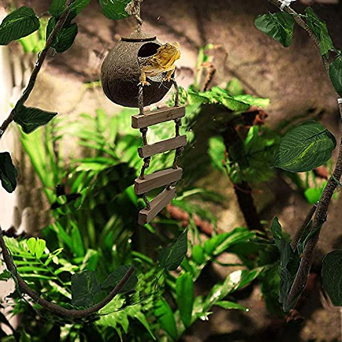 kathson Lizard Coco Den Gecko Coconut Husk Hut with Ladder Reptile Terrarium Plants Decor Hanging Lizards Hideouts Habitat Climbing Decorations Jungle Climber Vines for Chameleon 5 Pack