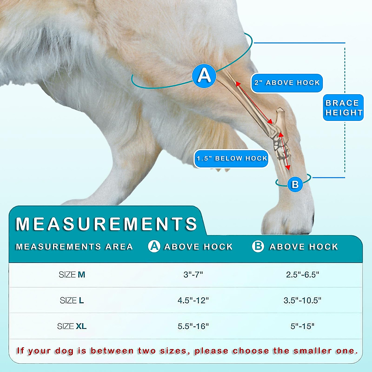 PaaWings 2024 Dog Leg Braces Dog Knee Brace for Back Leg- Dog Hip Brace for Torn Acl and Joint Relief -Dog Leg Sleeve - Dog Back Leg Support and Joint Supplement Black (L)