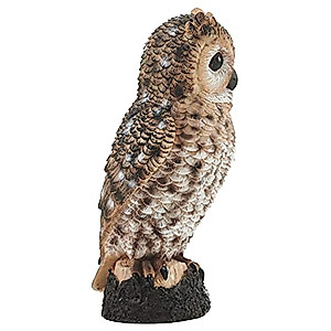 VA Resin Garden Owl Statue, Fake Owl, Fake Statue, Fake Owls, Garden Owl, Owl Décor, Realistic Owl, Owl Yard Décor, Owl.