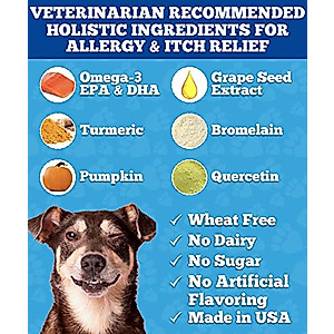 Well Loved Dog Allergy Chews - Dog Allergy Relief, Made in USA, Vet Developed, Hot Spot Treatment for Dogs, Dog Itch Relief, Anti Itch for Dogs, Dog Vitamins, Dog Skin Allergies Treatment, 120 Count