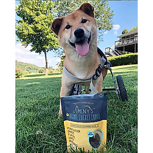 Jiminy's Original Cricket Cookie Dog Treat Bundle, Peanut Butter & Pumpkin (5oz) & Peanut Butter & Blueberry (5oz)
