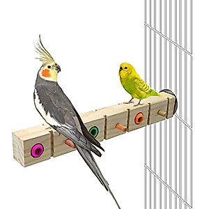 Parrot Bird Wood Perch Platform Corner Stand Shelf for Birds Budgie Parakeet Cockatiel Conure Cockatoo Macaw（F）