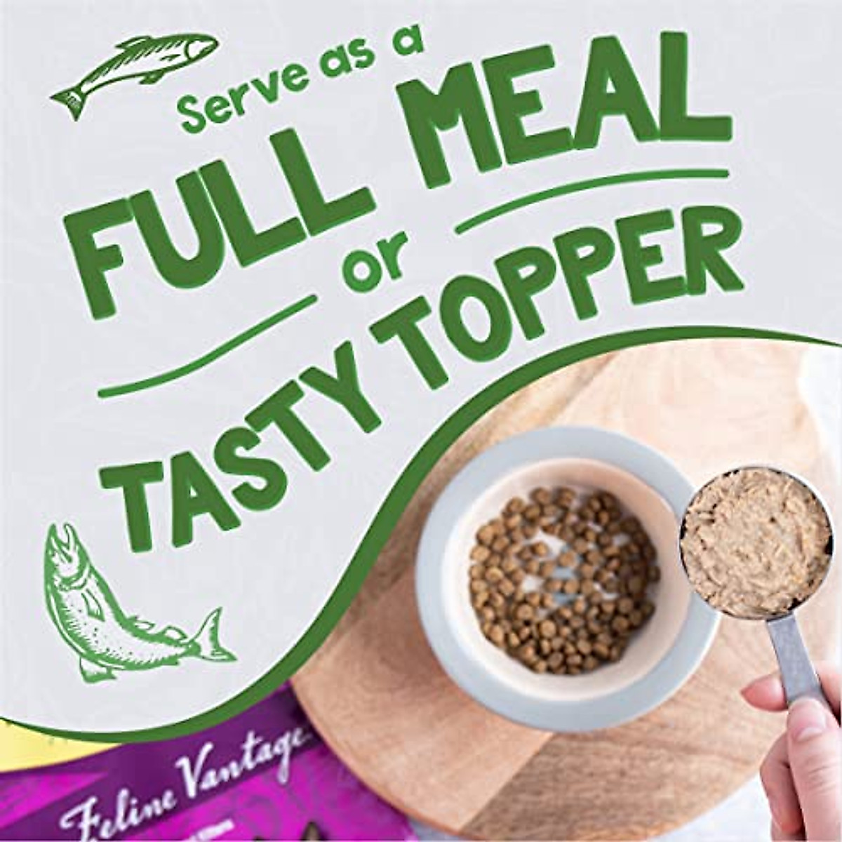 Earthborn Holistic Chicken Catcciatori Grain-Free Moist Cat Food 3 Ounce (Pack of 24)