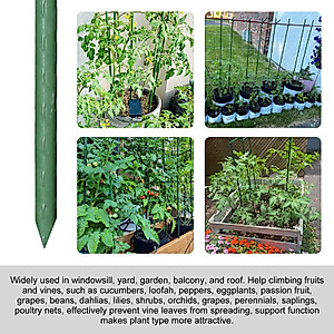 Garmeinea Garden Stakes 60 Inches Plastic Coated Steel Plant Stakes for Growing Climbing Plants, Pack of 25