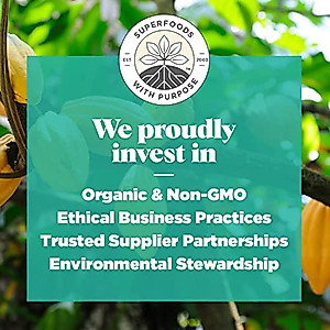 Navitas Organics Cacao Sweet Nibs, 4oz. Bag, 28 Servings — Organic, Non-GMO, Gluten-Free