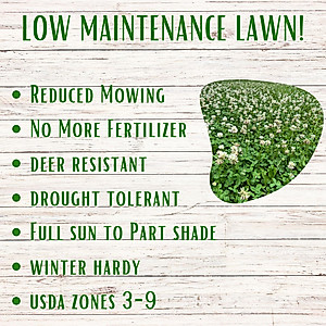 Flawn Seed Dutch White Clover Seed, Low Maintenance, Eco/Pollinator Friendly Flowering Lawn, Kid, Pet, Grass Alternative, Easy Open Compostable Pouch, Easy Spread Up to 500 SqFt