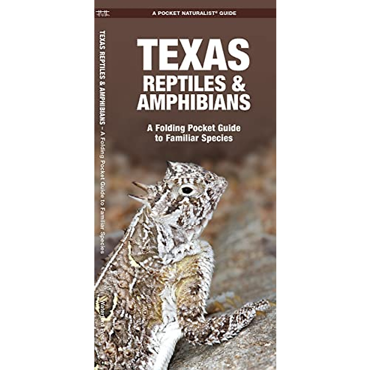 Texas Reptiles & Amphibians: A Folding Pocket Guide to Familiar Species (Nature Observation North America)