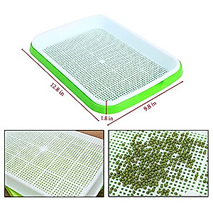 SHEING Seed Sprouter Germination Tray 5 Pack, BPA Free Nursery Healthy Wheatgrass Seeds Grower & Storage Trays for Garden Home Office