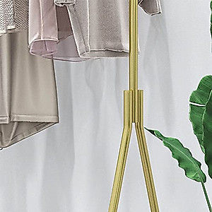 NEOCHY Clothing Display Racks, Iron Heavy-Duty Hangers, Open Child Clothing Store Display Racks/Golden/100X40X150Cm