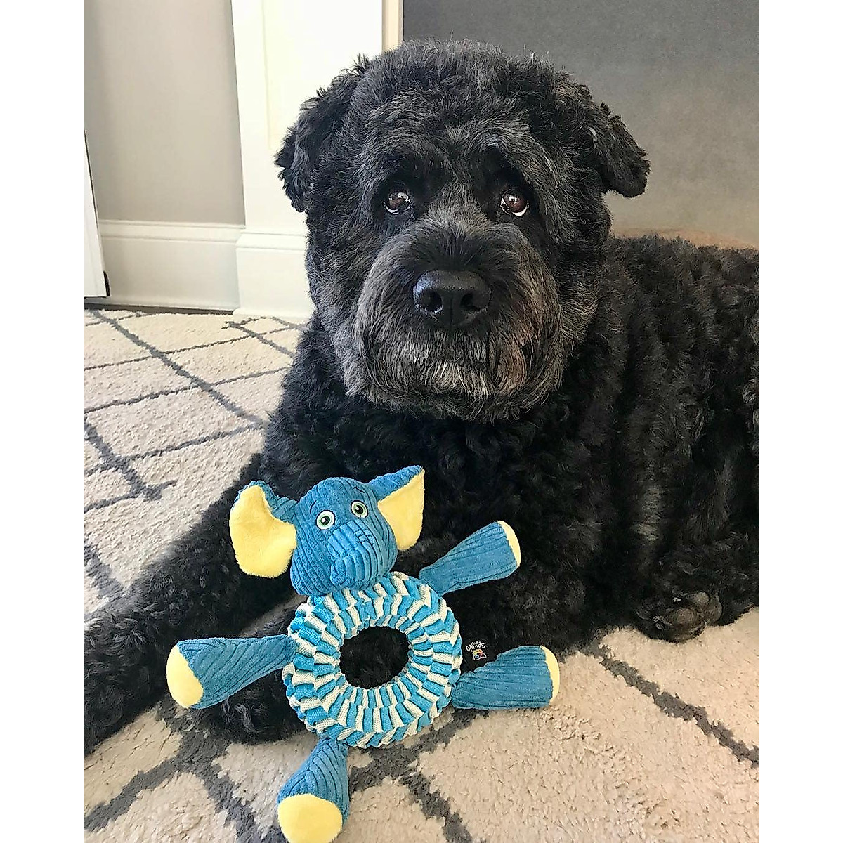 Spunky Pup Wibbleez Round | Assorted Stuffed Animal Dog Toy | Durable Plush and Nylon Fetch and Throw Toy for Dogs | Squeaker Tug Toy | Stuffed Toy for Dogs and Puppies | Stuffed Animal Chew Toy