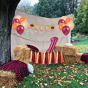 Gankbite Burgundy Pumpkin Fall 1st Birthday Party Girl One Cake Smash Burlap Banner Paper Tassel Balloon Fall Birthday Decorations
