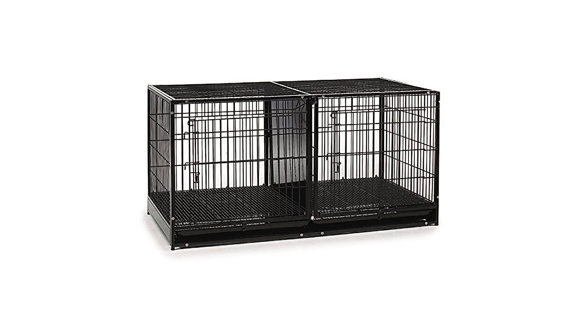 Pro Select Steel Modular Cage with Plastic Tray | Heavy-Duty Pet Enclosure
