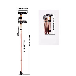 Trekking Poles Pack Adjustable Hiking Or Walking Sticks Strong Lightweight Aluminum Alloy Folding Trekking Pole Decoration for Indoor Outdoor