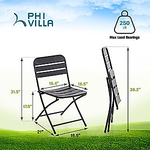 PHI VILLA Metal Steel Patio Dining Chairs Set of 2,Outdoor Bistro Chairs,Foldable Patio Dining Chairs for Garden,Backyard, Lawn, Porch, Poolside and Balcony,2 Packs