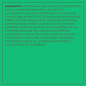 innisfree Bija Clarifying Toner with Salicylic Acid, Korean Toner for Clarifying, Smoothing, and Improving the Look of Pores (Packaging May Vary)