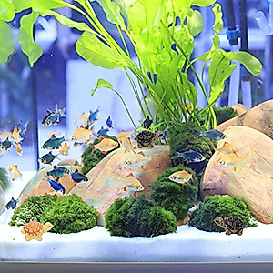 Ipetboom Ocean Toys Small Turtles Ocean Animals Toys 10Pcs Mini Turtle Figurine Miniature Turtle Statue Fairys Garden Animal Bonsai Plant Pot Decor Miniature Ornaments