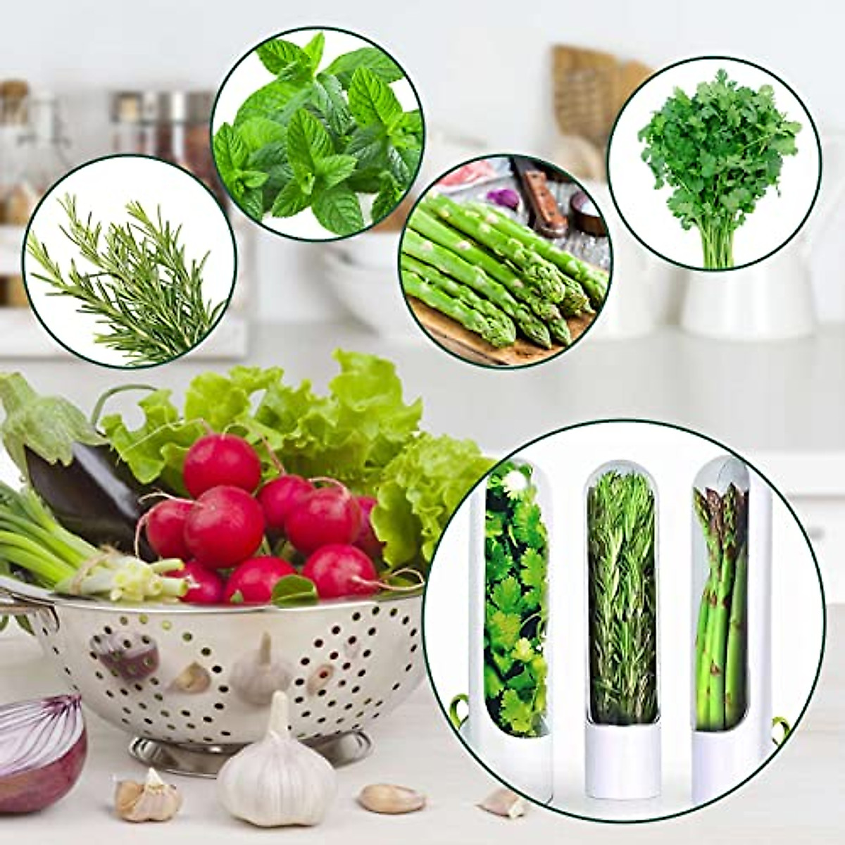 plplaaoo Herb saver pod, Herb Storage Container clear windowed,good watertight integrity,Fits in all standard refrigerator doors for Cilantro Mint Parsley Asparagus