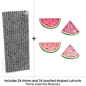 Big Dot of Happiness Sweet Watermelon - Paper Straw Decor - Fruit Party Striped Decorative Straws - Set of 24