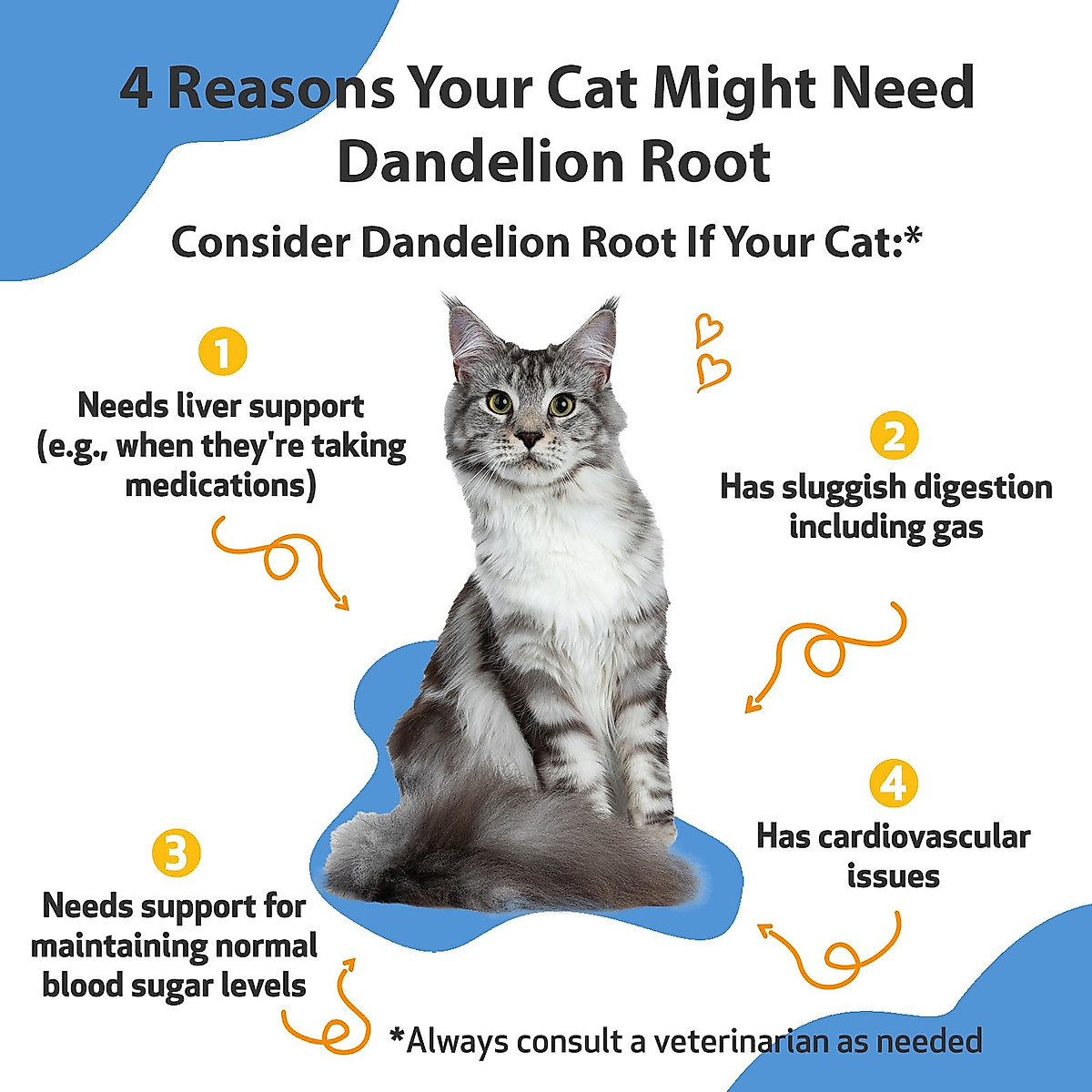 Pet Wellbeing Dandelion Root for Cats - Liver & Heart Health, Digestive Function, Blood Sugar Support, Certified Organic - Veterinarian-Formulated Herbal Supplement 2 oz (59 ml)