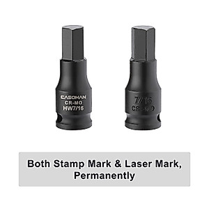 CASOMAN 84 Pieces 3/8" Dr. Master Hex Bit Impact Socket Set, CR-MO, SAE/Metric, Impact Grade, 3/8" Drive Allen Bit Socket Set