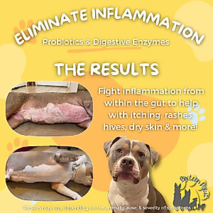 Sixteen Pawz Probiotics, Prebiotics, & Digestive Enzymes for Dogs| Limited Ingredients| Organic |Digestive Support |Allergy Relief |Immune Support| Reduces Inflammation| Diarrhea & Gas Relief