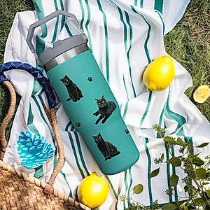 30oz Stainless Steel Vacuum Insulated Water Bottle (Cat-Blue)