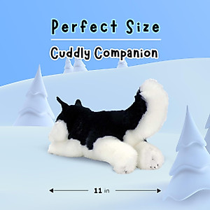 Aurora World Miyoni Black Lying Husky Plush - Super Soft 11" Realistic Stuffed Animal Toy