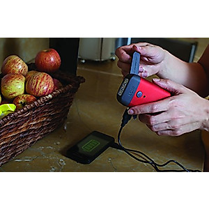 Eton American Red Cross Crank-Powered Clipray Clip-On Flashlight & Smartphone Charger, Red