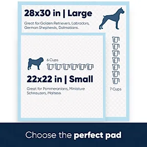 American Kennel Club Scented Puppy Training Pads with Ultra Absorbent Quick Dry Gel – 22 x 22 Puppy Pads - Fresh Scented - Pack of 50